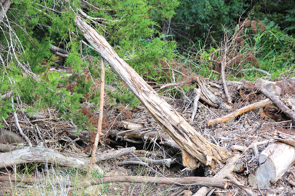 KEEPING A MAN ON THE FENCE: Protecting your Perimeter - American ...