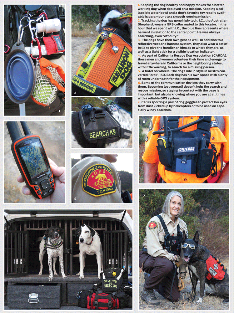 Four-Legged Heroes: The K-9 Rescue Squad - American Outdoor Guide