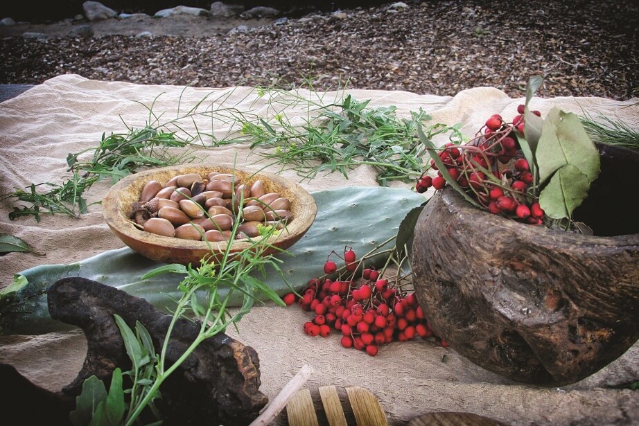 Wild Foods: Know How to Make the Tools Needed to Prepare Tasty Dishes ...