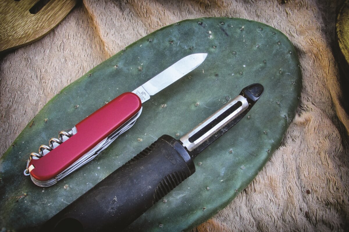 Wild Foods: Know How to Make the Tools Needed to Prepare Tasty Dishes ...