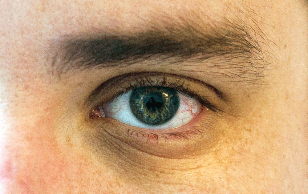 Whiteout: Snow Blindness - American Outdoor Guide