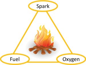 Fire Lay 101 - American Outdoor Guide