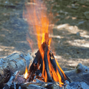 Fire Lay 101 - American Outdoor Guide