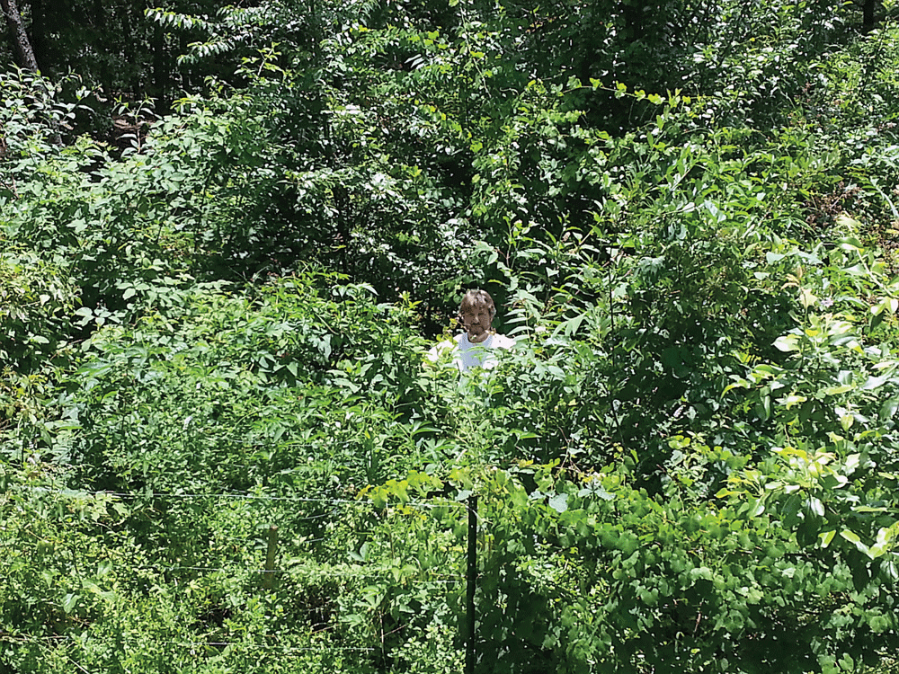 Secret Garden of Survival: Growing a Hidden Food Forest - American ...