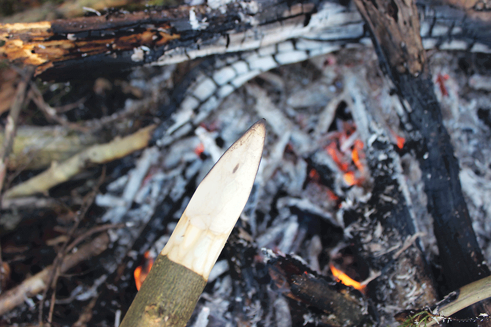 Straight to the Point: Make your Own Survival Spear - American Outdoor ...