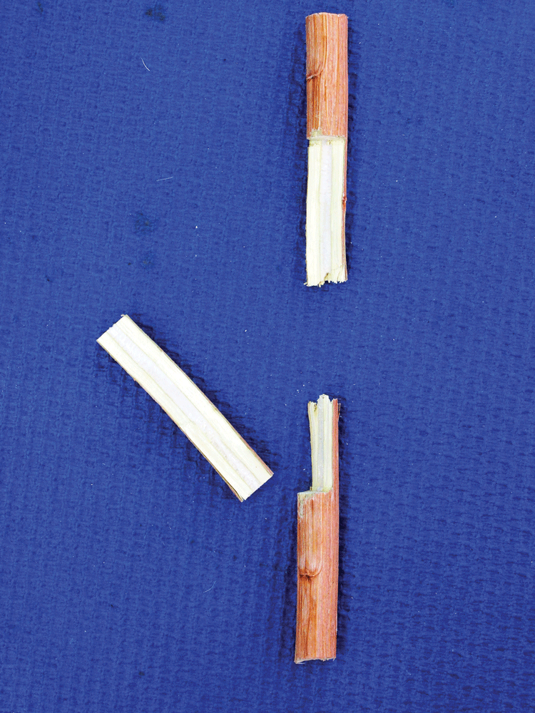 Trapping Small Game: 3 Effective Deadfall Triggers - American Outdoor Guide