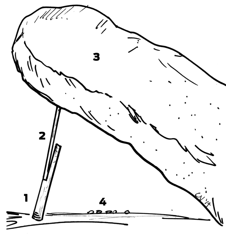 Trapping Small Game: 3 Effective Deadfall Triggers - American Outdoor Guide