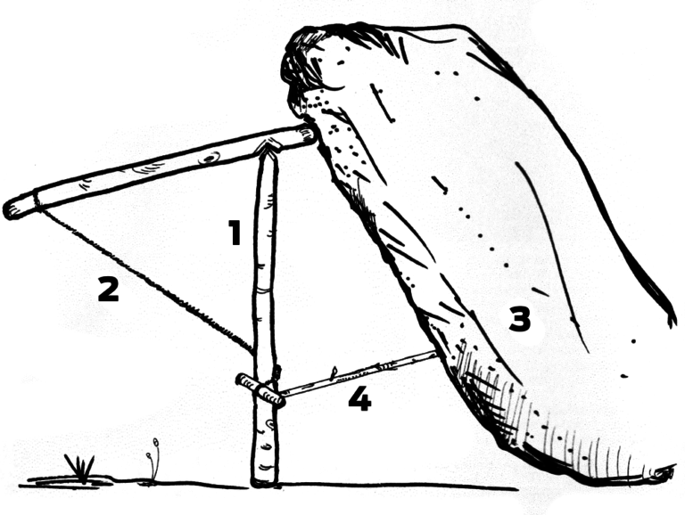 Trapping Small Game: 3 Effective Deadfall Triggers - American Outdoor Guide