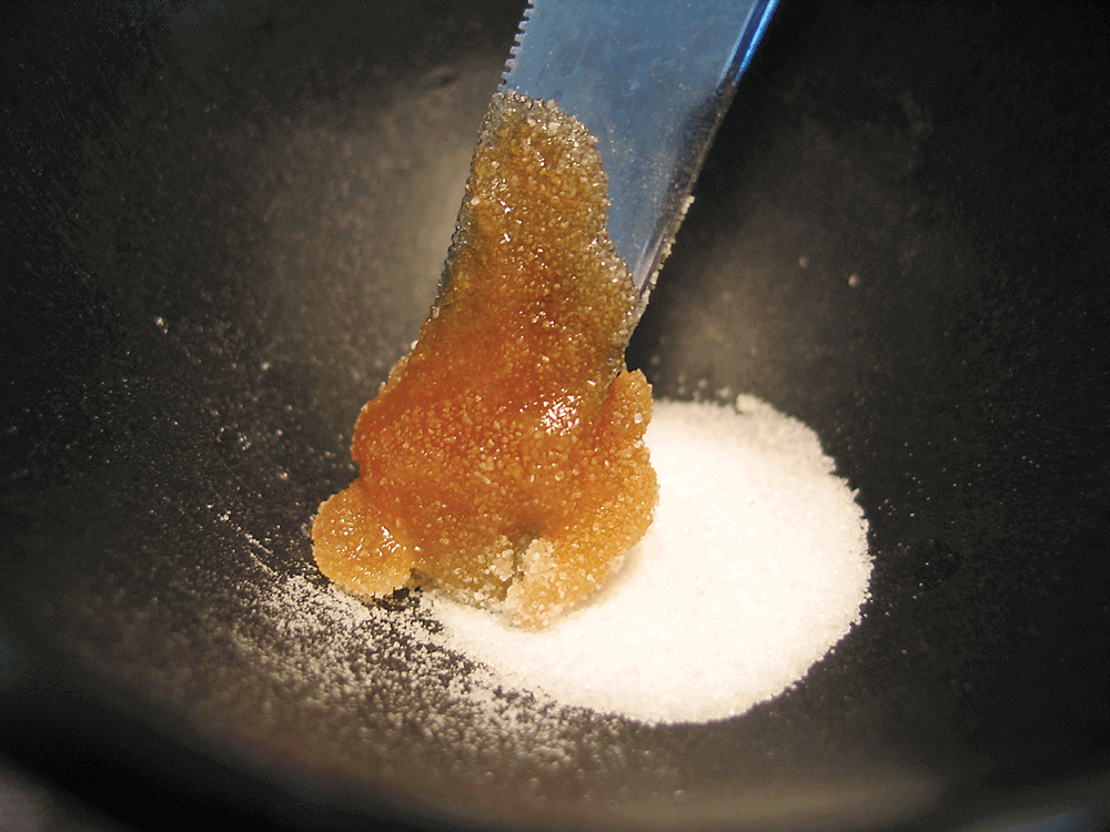 Sweet Salvation: Honey and Sugar First Aid - American Outdoor Guide