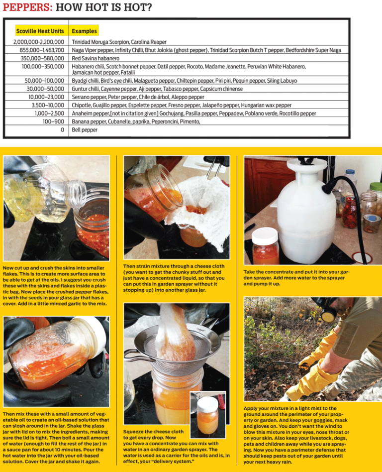 DIY Pepper Spray - American Outdoor Guide