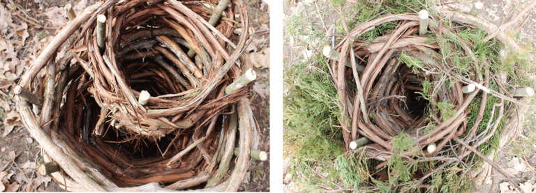 Native Fishing: How to Build a Primitive Fish Basket Trap - American ...