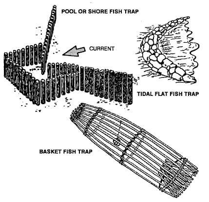 Making Traps for Small Game - American Outdoor Guide