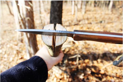 Here's How to Make a Survival Tree Resin Torch