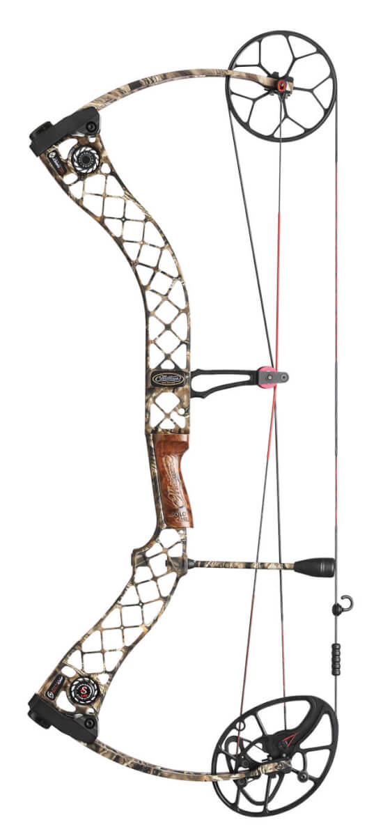 Buyer's Guide to Bows - American Outdoor Guide