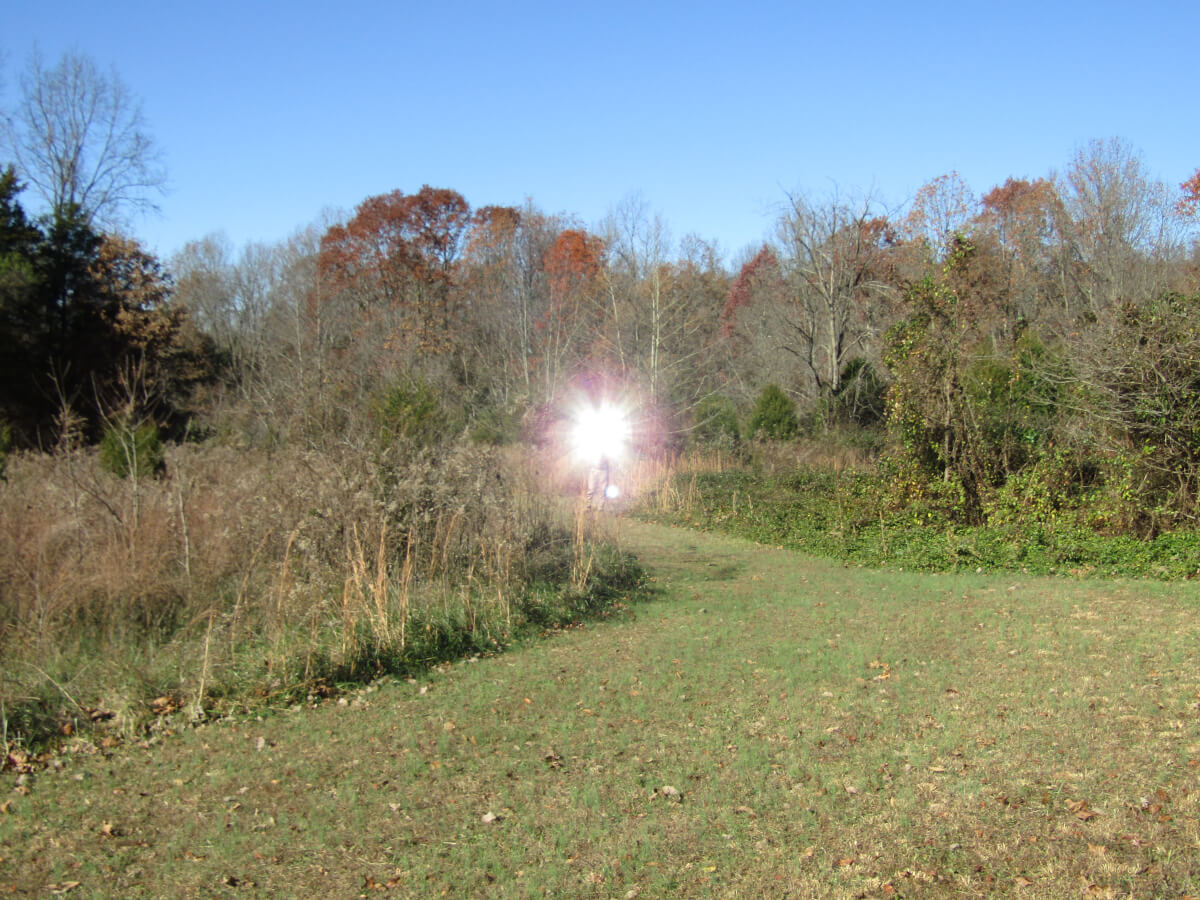 SOS: Signaling for Help Without a Phone or Radio - American Outdoor Guide