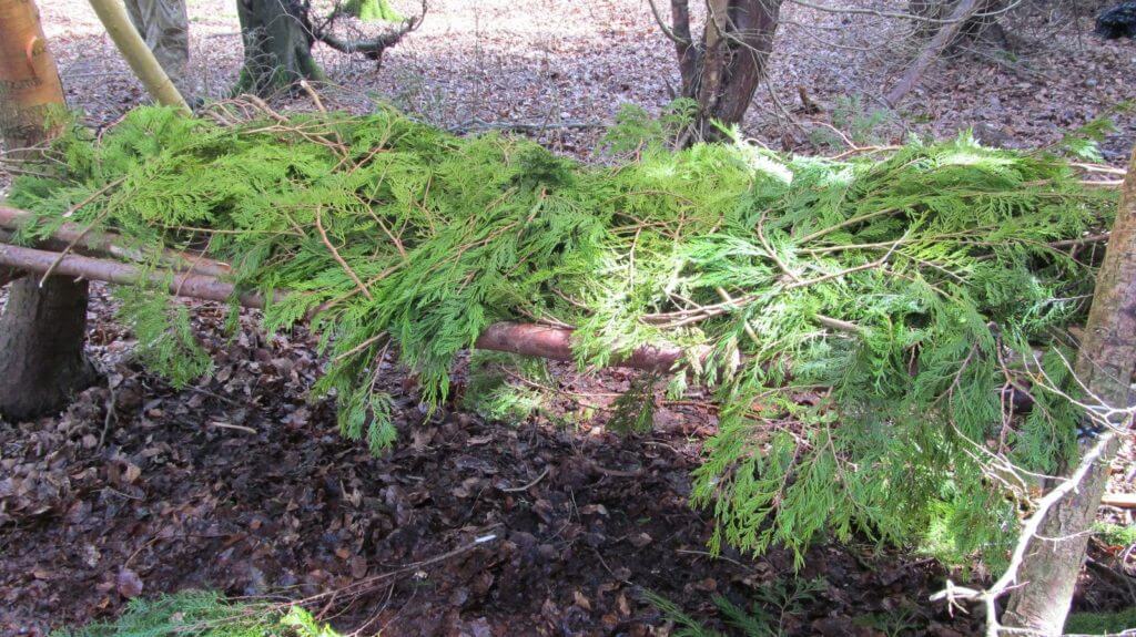 Survival Slumber: DIY Beds for Camp - American Outdoor Guide