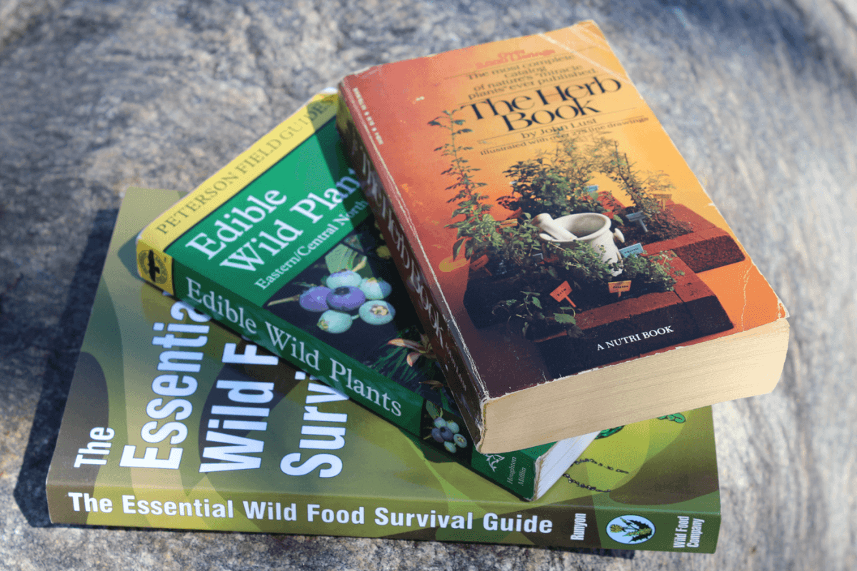 Plant Pharmacy: Plants for Food and Medicine - American Outdoor Guide