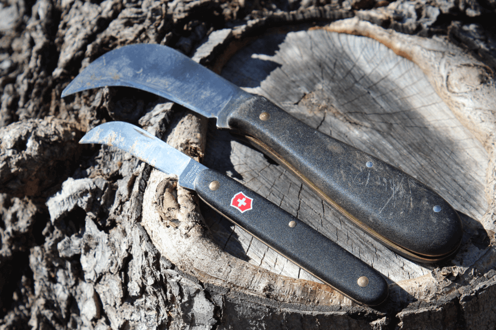 Foraging Gear: The Tools You Need To Collect, Process and Carry Natural ...