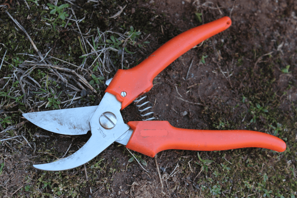 Foraging Gear: The Tools You Need To Collect, Process and Carry Natural ...