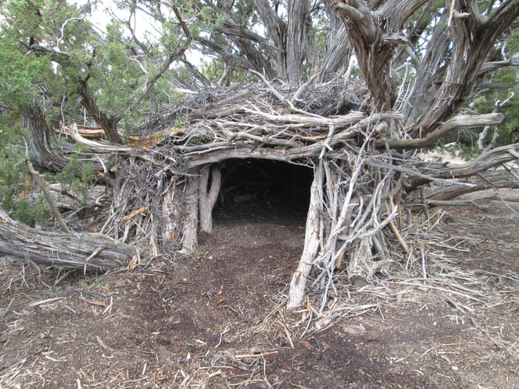 Here's how to build a DIY Survival Shelter all by yourself
