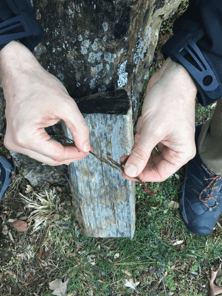 Survival Cordage: How to Make it, How to Use it - American Outdoor Guide