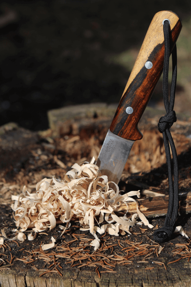 Firecraft 101: Tools, Methods and Techniques - American Outdoor Guide