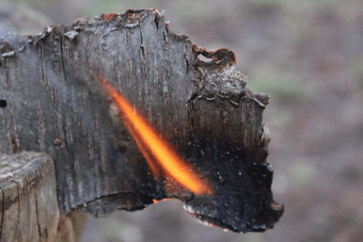 Firecraft 101: Tools, Methods and Techniques - American Outdoor Guide