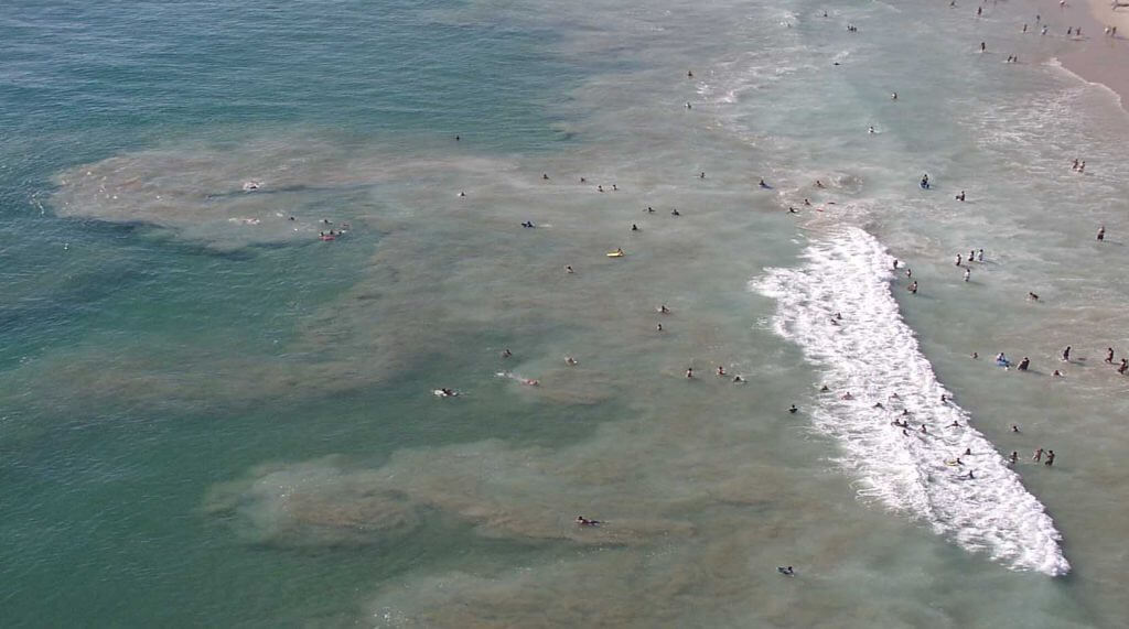 Go with the Flow: 5 Ways to Survive a Rip Current - American Outdoor Guide