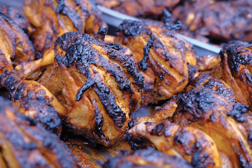 Dining at the Roadkill Café - American Outdoor Guide