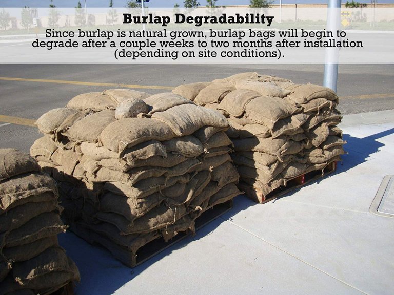 Shoring Up for the Storm: How to Build a Sandbag Wall
