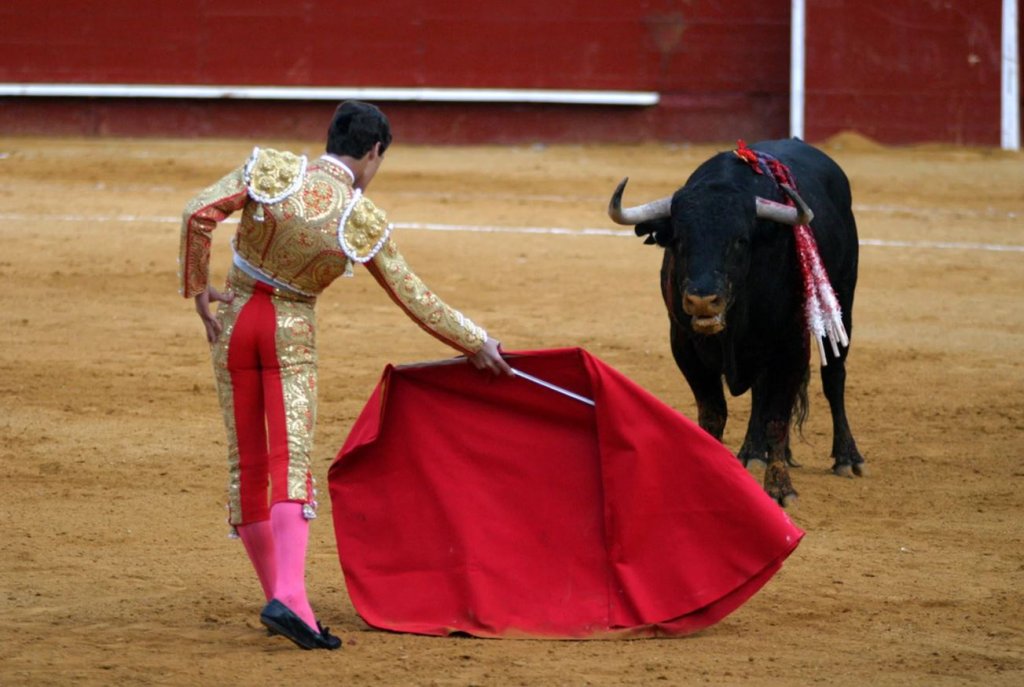 Raging Bull: How to Survive a Bull Charge - American Outdoor Guide