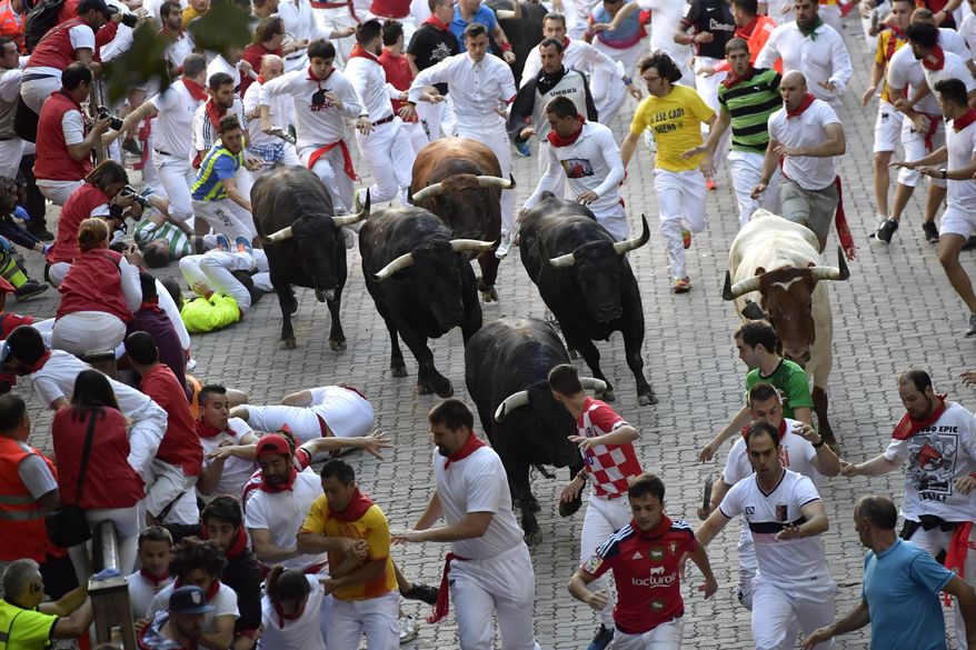 Raging Bull: How to Survive a Bull Charge - American Outdoor Guide