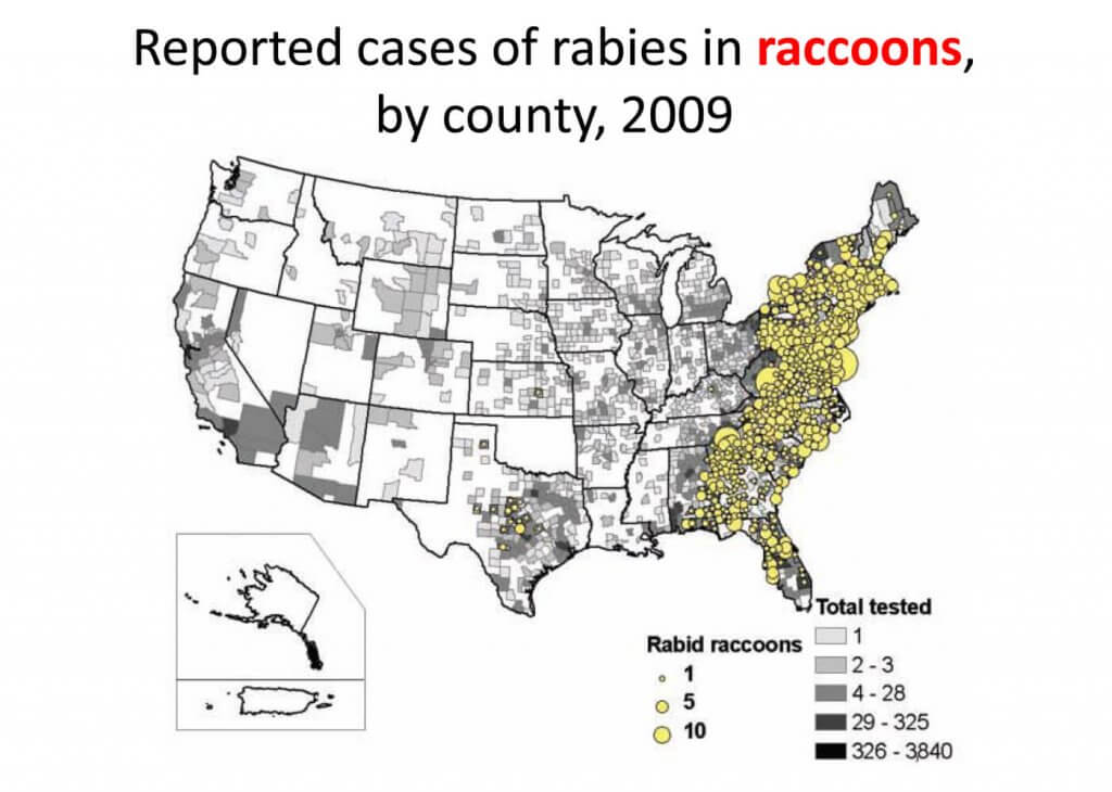 Fatal at First Bite: How Rabies Affects Millions Worldwide - American ...