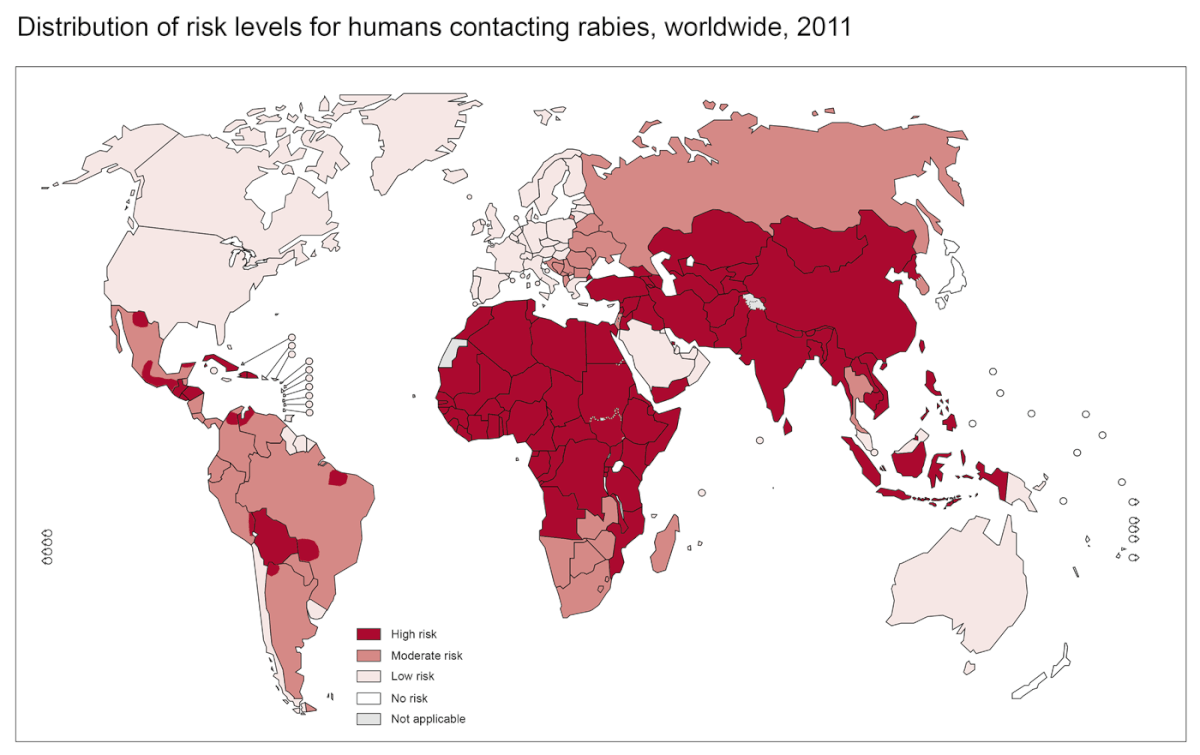 Fatal at First Bite: How Rabies Affects Millions Worldwide - American ...