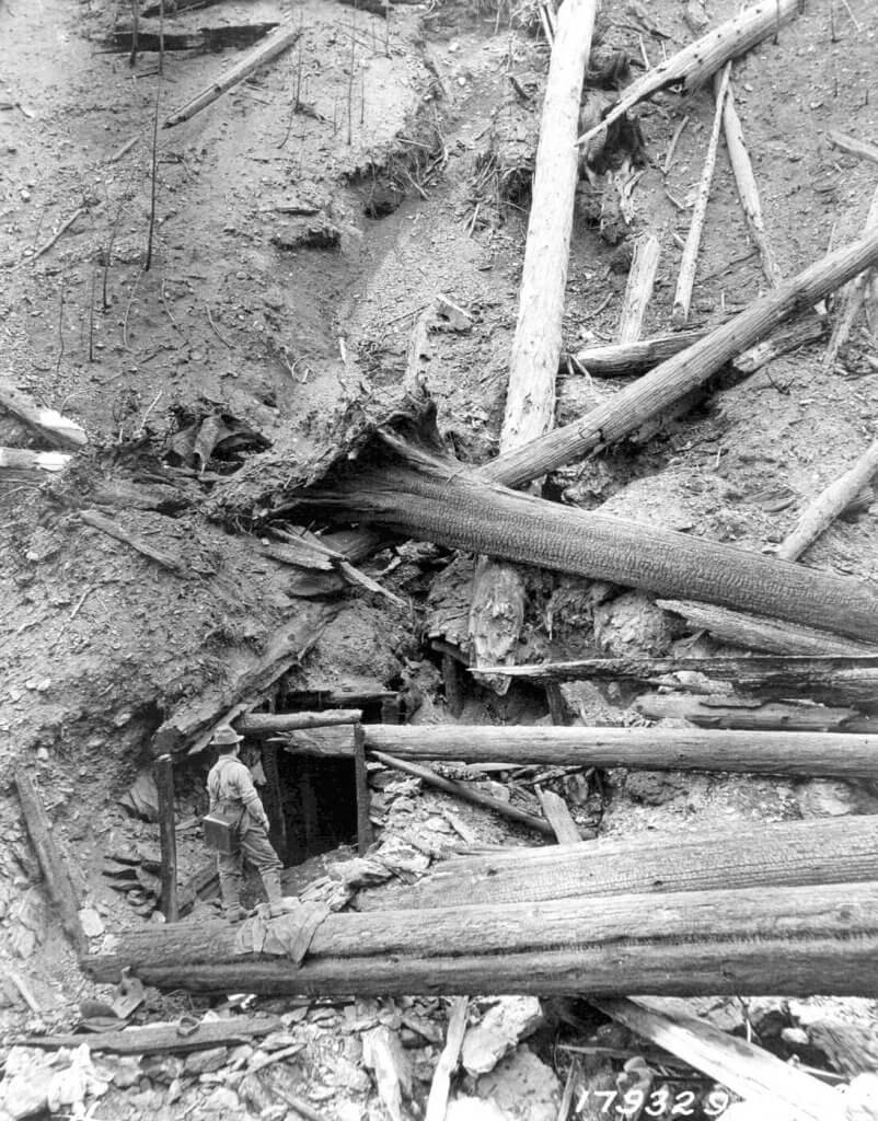 The Big Burn: The 1910 Inferno of Coeur d’Alene National Forest and its ...