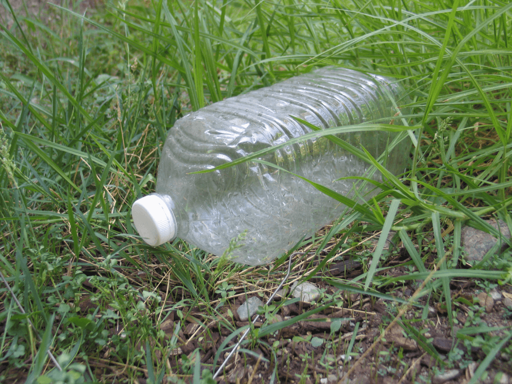 DIY Small-Game Trap: Learn to Build a Better Mousetrap