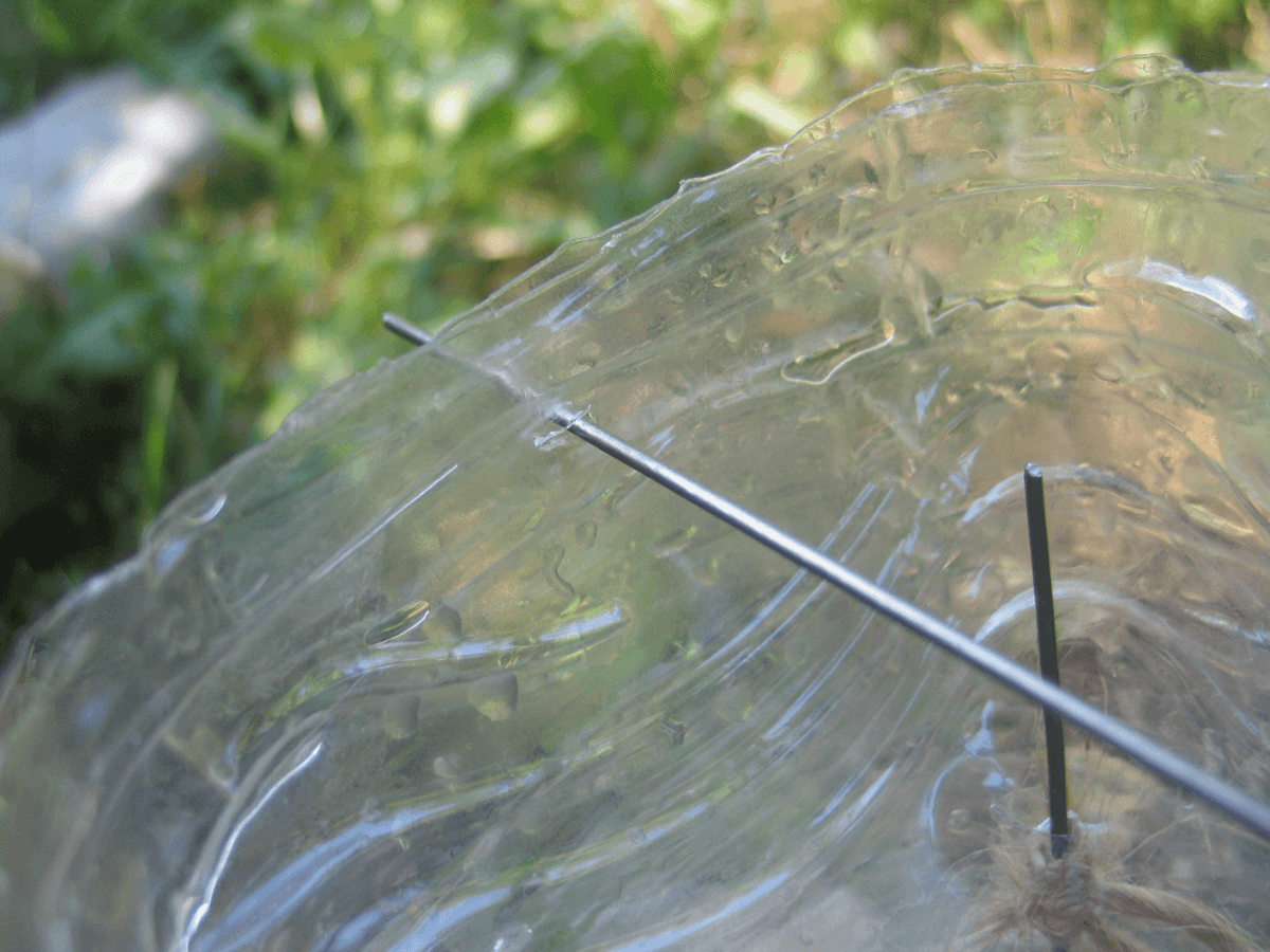 DIY Small-Game Trap: Learn to Build a Better Mousetrap