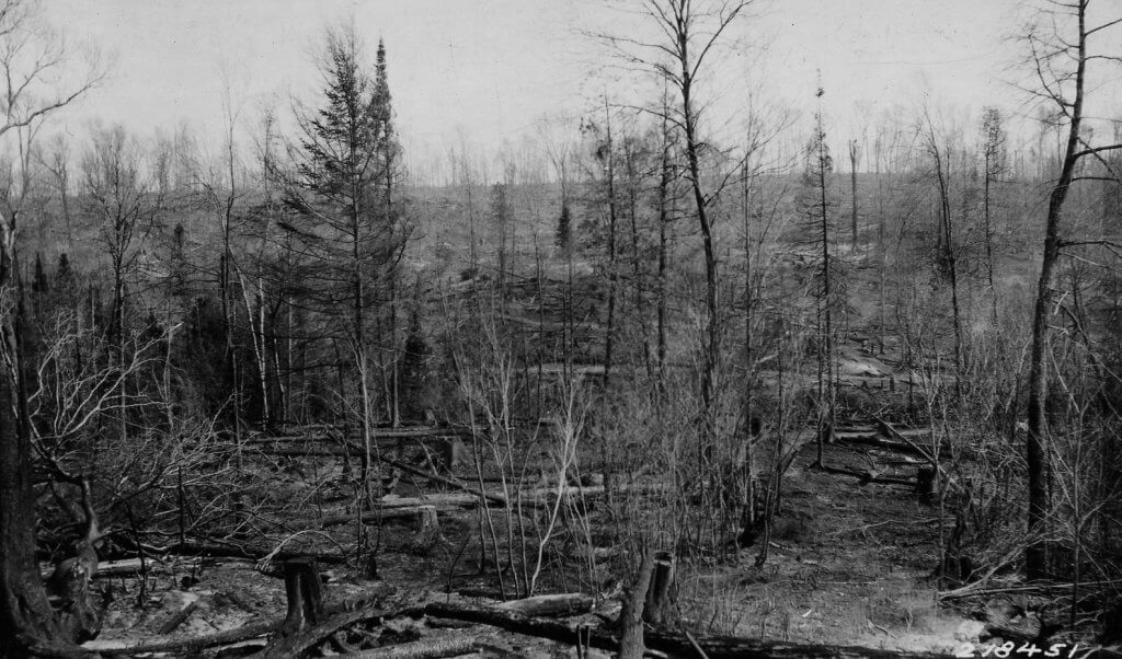Fire Hazard: Michigan Vulnerable to Wildfires - American Outdoor Guide