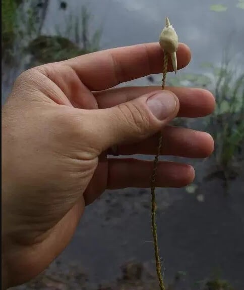 10 DIY Survival Tools that can Keep you Alive in the Wild