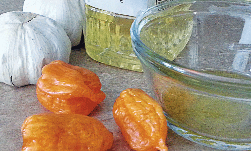 10 DIY Survival Tools that can Keep you Alive in the Wild