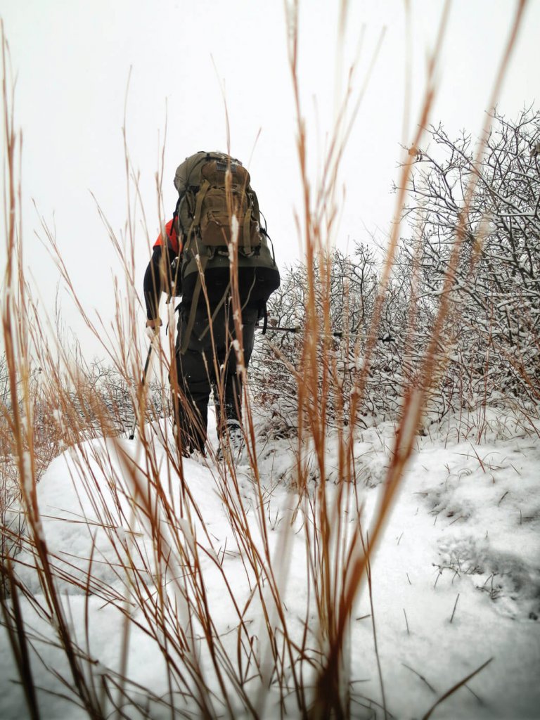 Winter Survival: Tips for Surviving the Extreme Cold