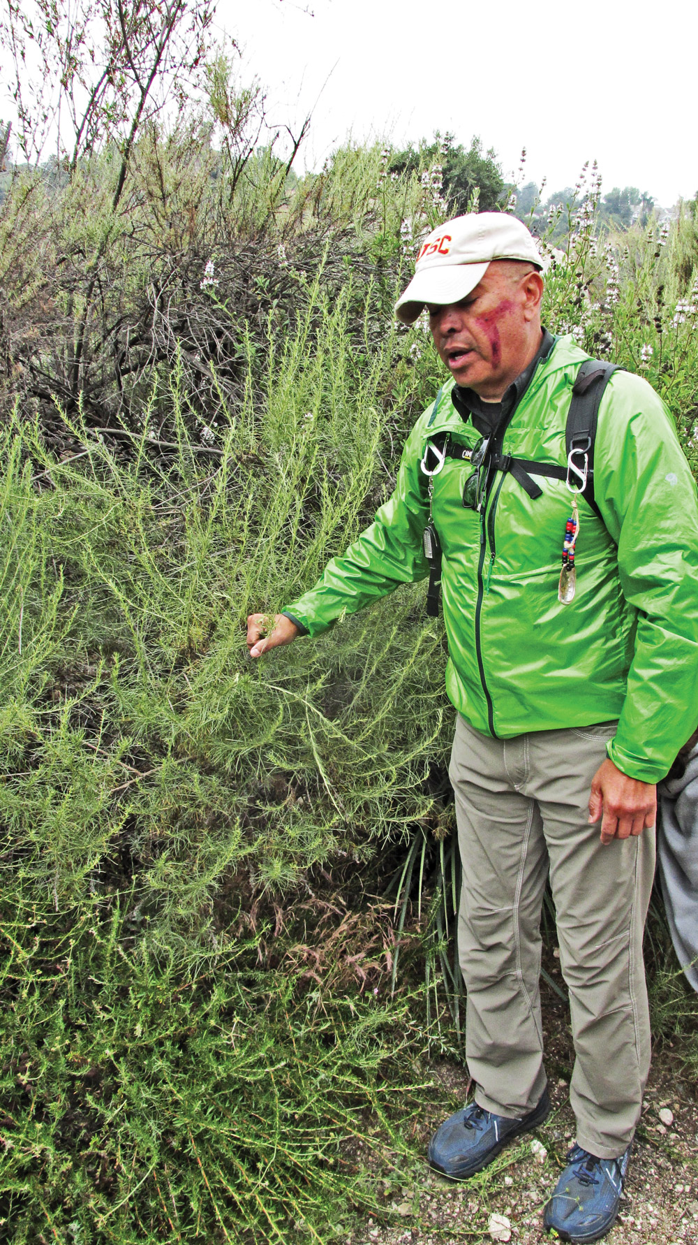 TREATING PAIN WITH PLANTS - American Outdoor Guide