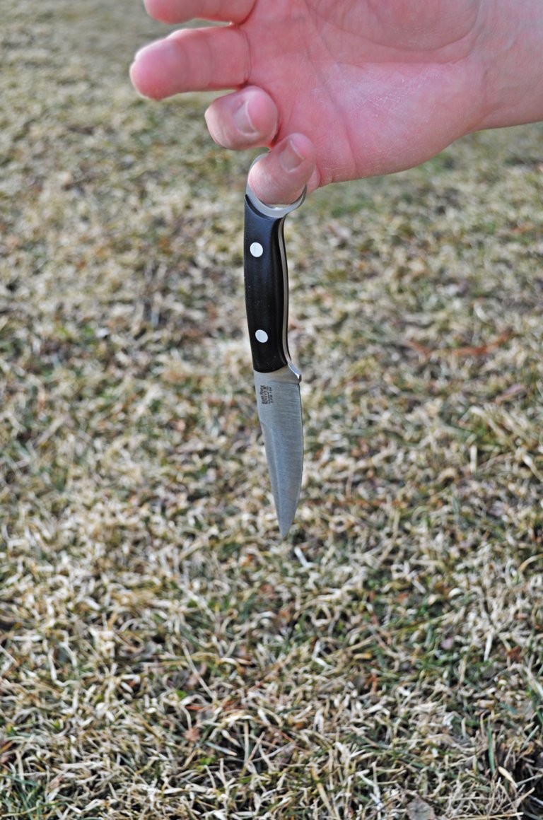 Learn About The Pros And Cons of Ring-Handle Knives