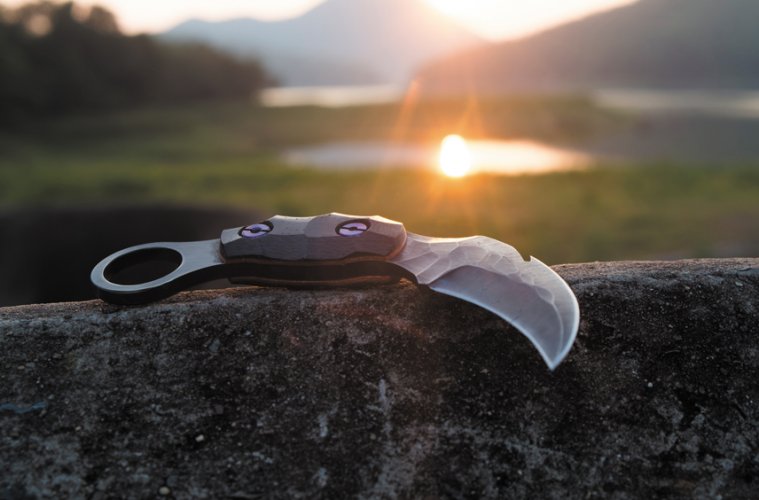 Learn About The Pros And Cons of Ring-Handle Knives