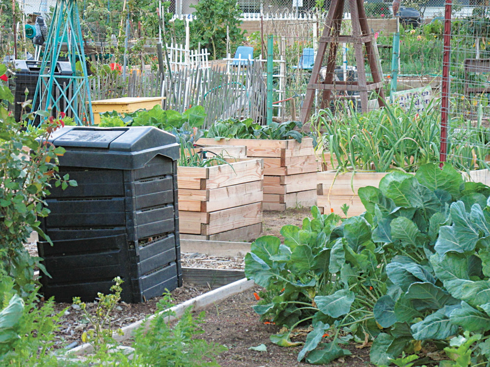 Backyard Is The Perfect Place To Practice Your Outdoor Survival Skills