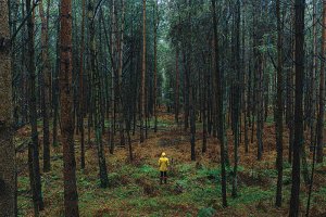 THE PSYCHOLOGY OF BEING LOST - American Outdoor Guide