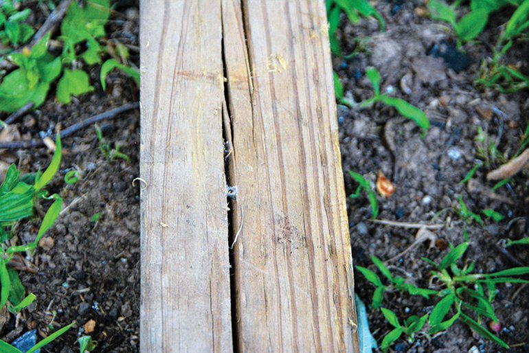 TIMBER FRAMING: THE ART OF BUILDING A LASTING STRUCTURE - American ...