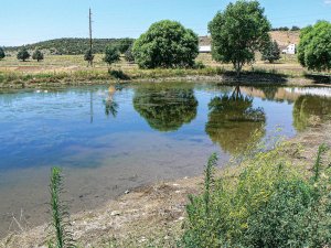 HOW TO PULL WATER FROM AIR - American Outdoor Guide