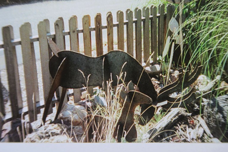 Meet Tom Grover, the wilderness survival expert – American Outdoor Guide