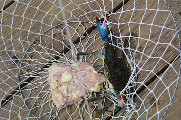 Inshore vs Offshore Fishing: Everything You Need to Know - American ...